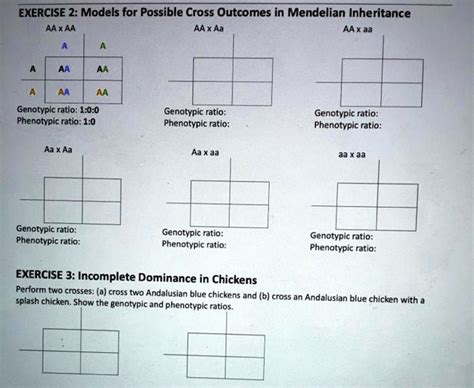Genotype Ratio