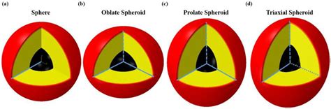 Initial Geometries For Folding Simulations The Outer Layer Cortex