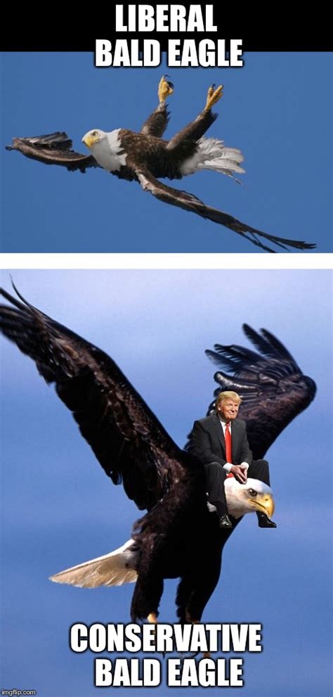 Bald Eagle Flag Memes