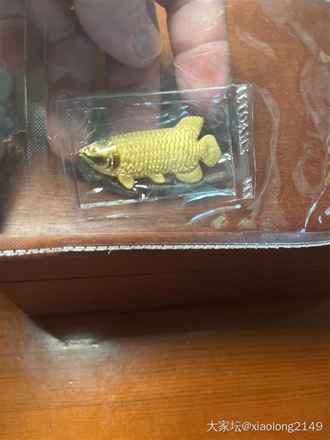 金龙鱼真是可爱，做工很精美金珠宝大家坛