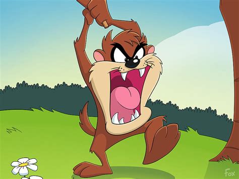Taz Wallpaper 1920x1080 Hd Taz Wallpapers Peakpx