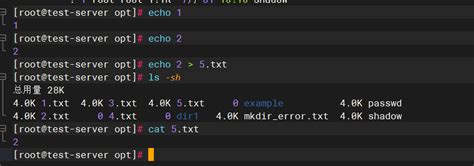Linux系统文件与目录管理(超详细!) Csdn博客 Linux系统文件与目录管理(超详细!) Csdn博客