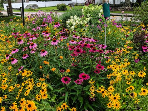 Plant A Pollinator Garden In New England Tips For Creating A Buzzing