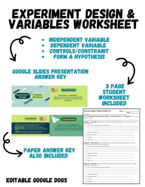 Experiment Design And Variables Worksheet Independent Dependent