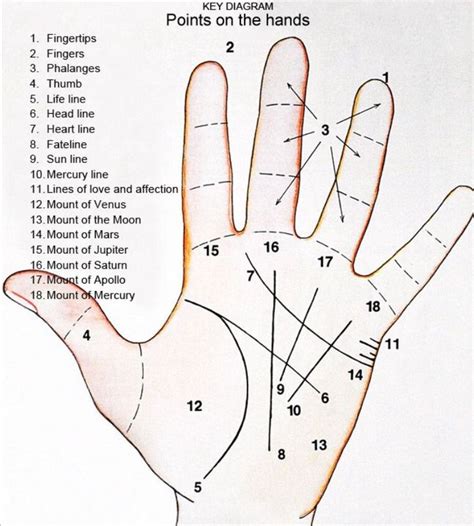 Pin By Prissygirl Roberts On You Life In Your Hands Palm Reading