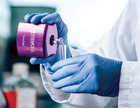 Human Immune Cell Isolation Live Virtual Training Course Stemcell Technologies