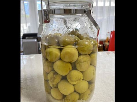 身体の中からキレイに！砂糖にこだわった爽やか梅シロップ【お茶付き】 鈴木 玲子