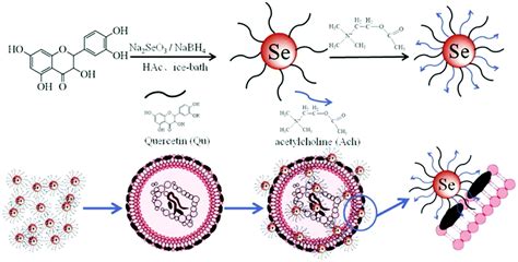 Selenium Nanoparticles A Review On Synthesis And Biomedical