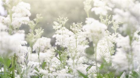 Leading Circular Beauty Lumene