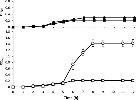 Enterococcus Faecalis Grows On Ascorbic Acid Applied And Environmental Microbiology
