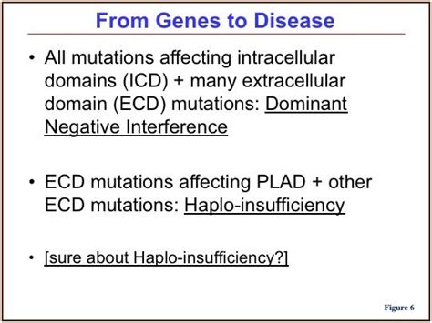 A Contemporary Approach To Alps Diagnostics Triangle Immunology Ti