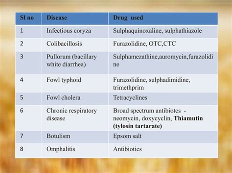 Vaccination And Medication In Poultry Pptx
