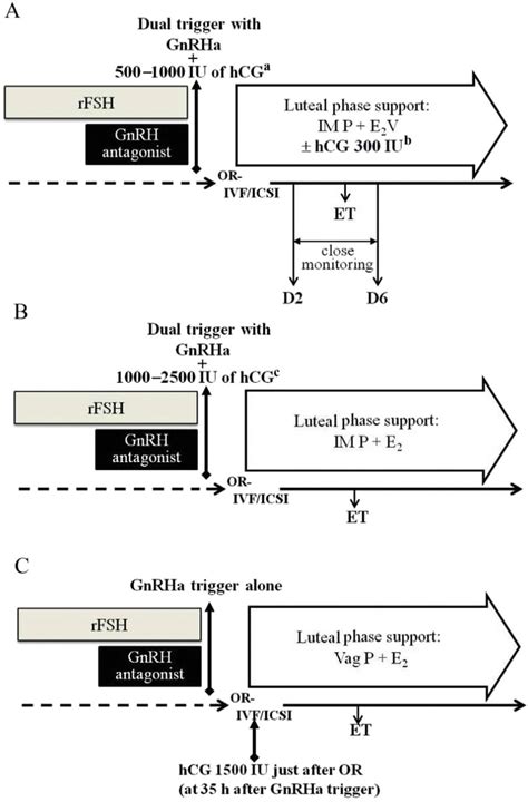 Comparisons Among Different Protocols Of Low Dose Hcg Supplementation Download Scientific