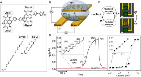 Mediator And Reference Electrode Free Sensing Of Lactate With An Download Scientific Diagram