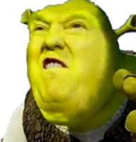 Shrek Meme Characters Internet Animation Meme Culture Png