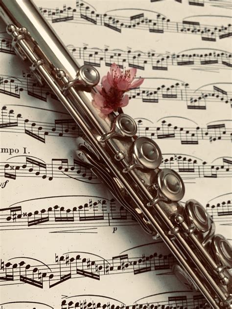 Flute Next To Sheet Music And Pink Rose Artofit