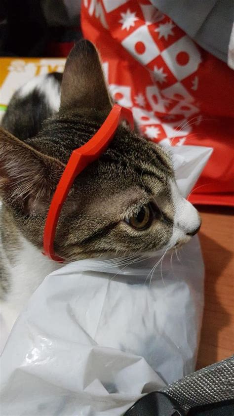 Catra Mask For Irl Cats By Barry Bolin Download Free Stl Model