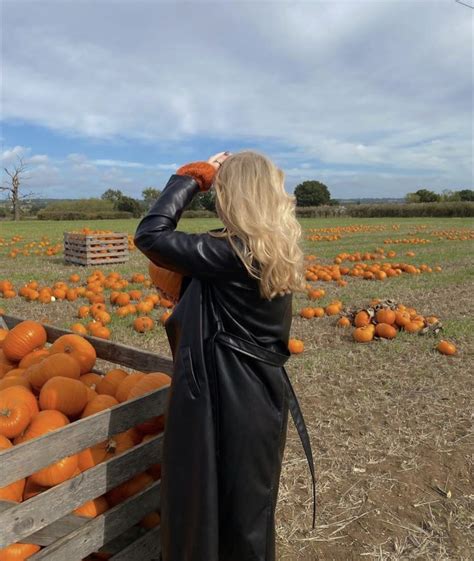 Pumpkin Patch Aesthetic Pumpkin Patch Pumpkin Farm Pumpkin