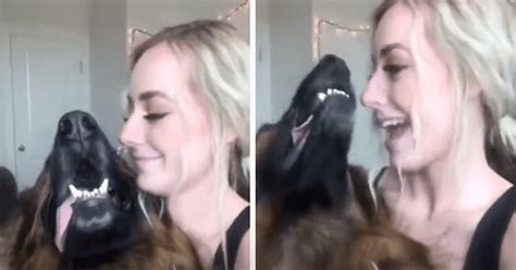 Facebook Viral Mujer Intenta Grabar Un Video En Vivo Con Su Perro Y