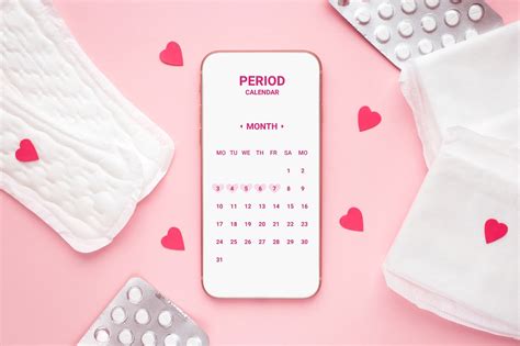 Menstruation Cycle Pregnancy