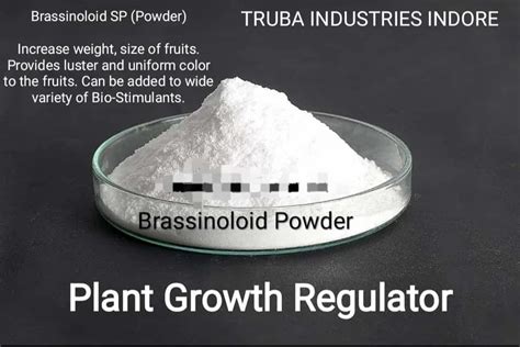 Natural Brassinolide 001 Sp At ₹ 2850kg Brassinolide In Indore Id 2851327103448