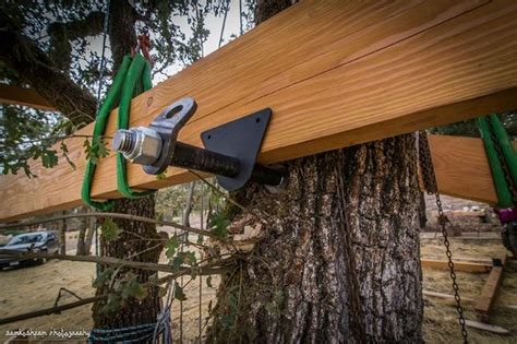5 Things You Need To Know Before Building A Treehouse