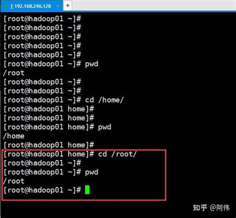 Linux Cd命令：切换目录 知乎
