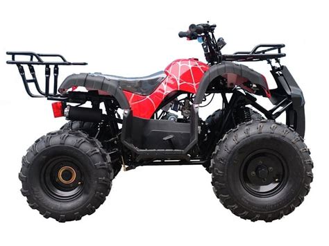 Tao Tao T Force Atv 125cc Quad 4 Wheeler With Big Rugged Tires Reverse