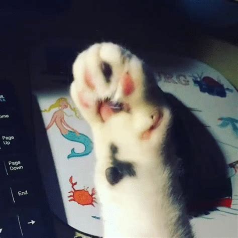 Hellohellohelllloooo  On Imgur