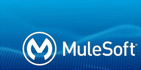 Mulesoft Magic A Comprehensive Review It For Less