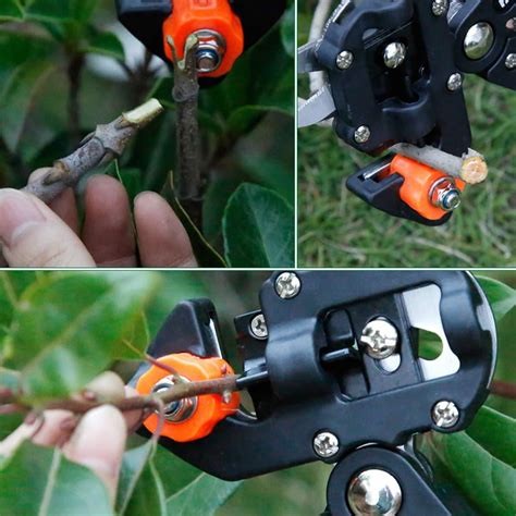 4 Piece Double Edged Tree Grafting Tool Kit Inspire Uplift