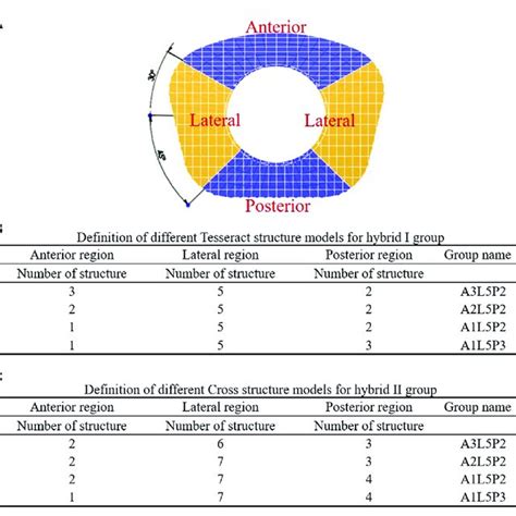Division Of Circumferential Regions Of The Artificial Fiber Jacket