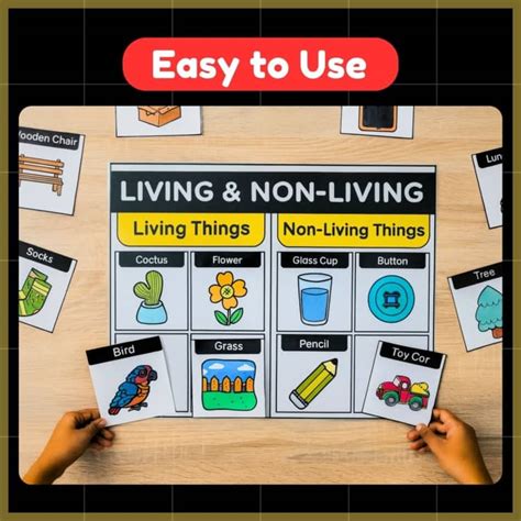 Sorting Objects Into Categories By Attributes Mats Activities Printable Game