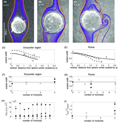 Active Sinking Particles In Natural And Man Made Ecosystems A A