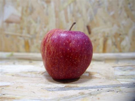 Orange Pixie 500g Alphajiri Greengrocer