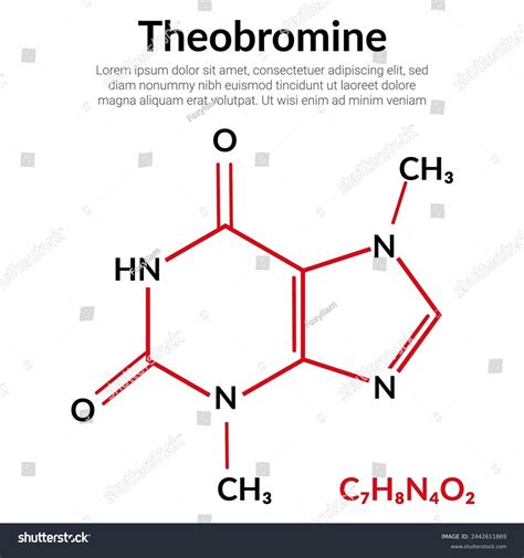 Theobromine Xantheose Chocolate Alkaloid Molecular Structure Stock