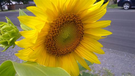 Assignment1 All Flickr Assignment1 All Flickr