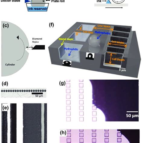A Schematic Illustration Of Flexographic Printing Direct Printing Of Download Scientific