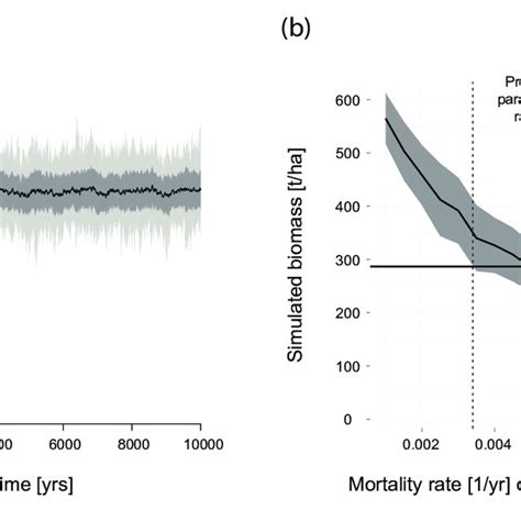 Principle Of Statistical Inference Through Stochastic Simulation A