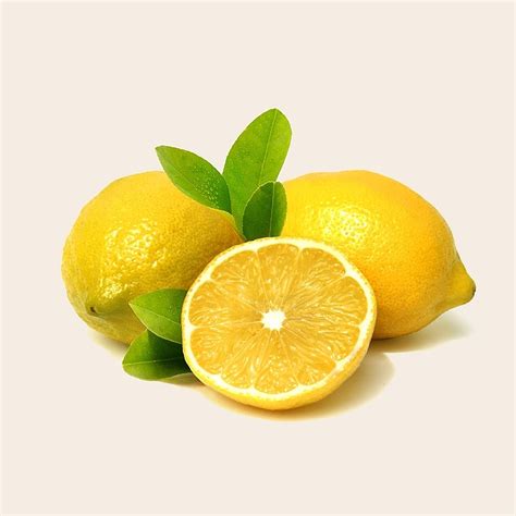 Mayan Nut Fruit Nutrition Facts Mayan Nut Fruit Health Benefits