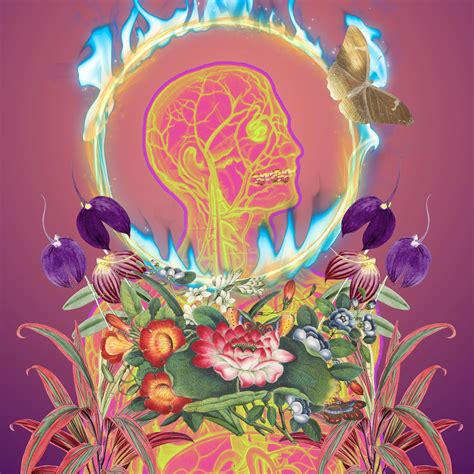 Travis Bedel Collages Blend Anatomy And Nature