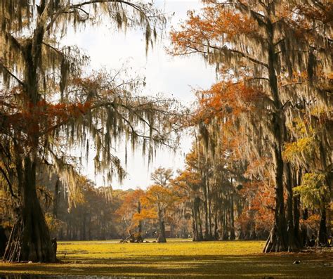 Self Compassion Where To Start Dallas Center For Mindfulness And