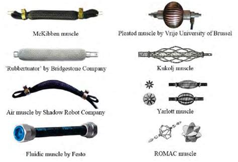 Figure 21 From Development Of Light Pneumatic Artificial Muscle Pam
