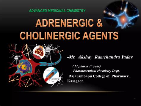 Adrenergic And Cholinergic Agents Pptx