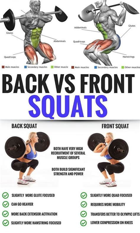 Power Squat Machine Muscles Worked At Madeline Tyrrell Blog