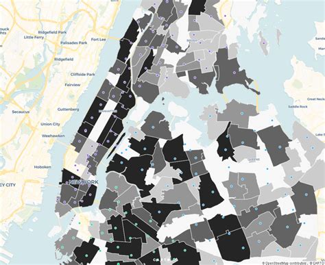 Neighborhood Tabulation Areas Map Information Visualization