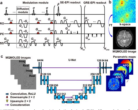Figure 1 From Single Shot Multi Parametric Mapping Based On Multiple