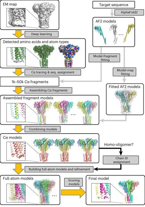 Deepmainmast Integrated Protocol Of Protein Structure Modeling For Cryo Em With Deep Learning