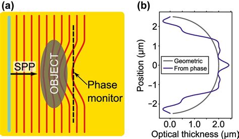 proof of principle of near field imaging of phase objects a a scheme