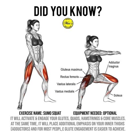 Sumo Squats Vs Regular Squats Sumo Squats Vs Regular Squats